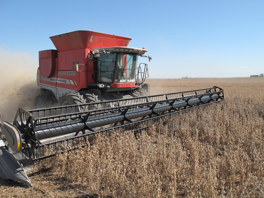 Cosechadora Massey Ferguson MF 9895 ATR II - Maquinac